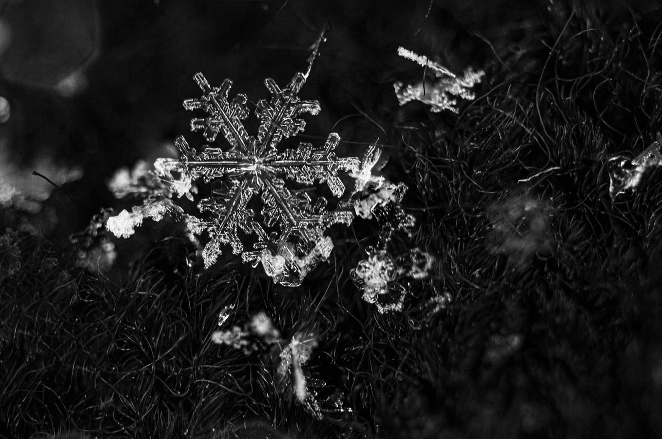 Unstructured Data support in Snowflake | by Paul Horan | Snowflake Builders Blog: Data Engineers ...