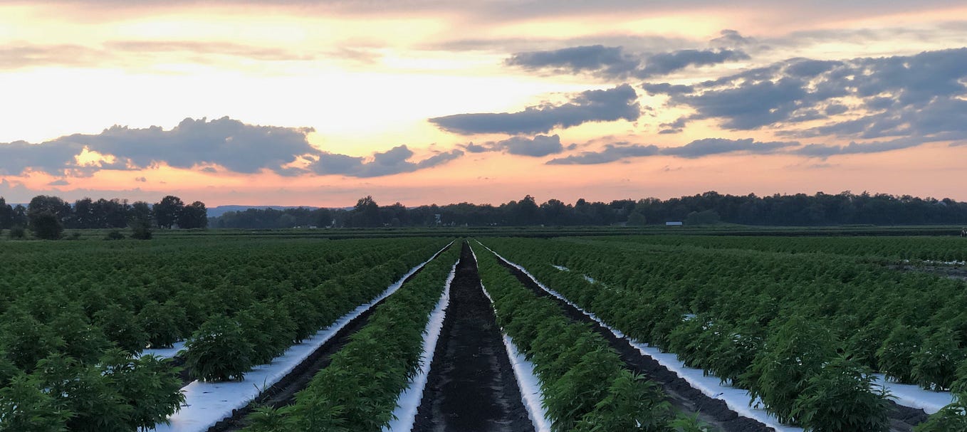 GrowLife 2021 Shareholder Meeting | by Marco Hegyi | Medium