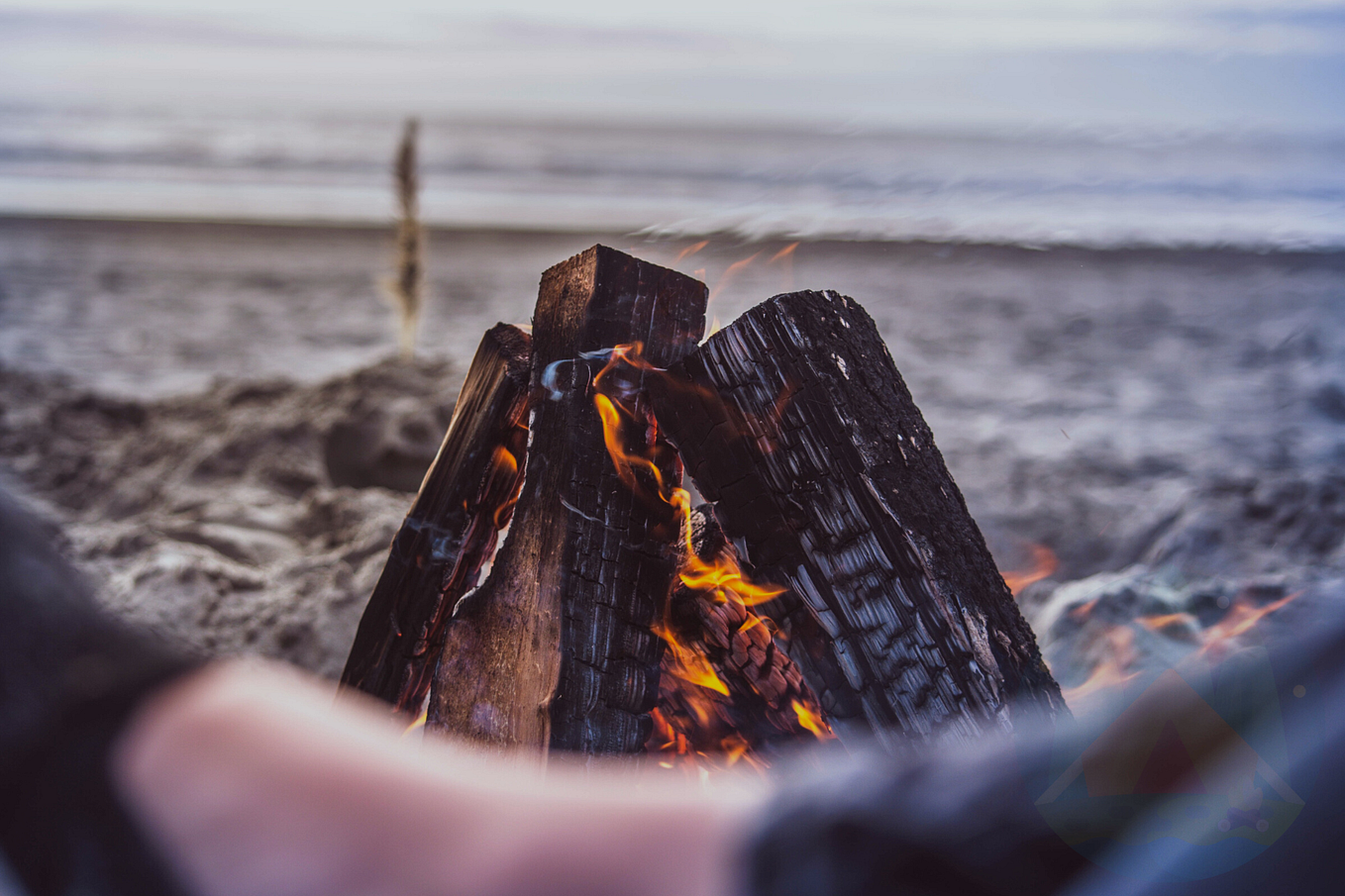 The Interesting Facts About Shell Island Camping | PlayFuly | by Alicia ...