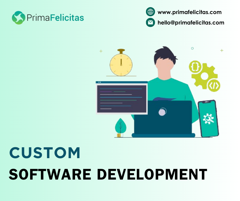 The Potential of Custom Software Development: Making Solutions to ...