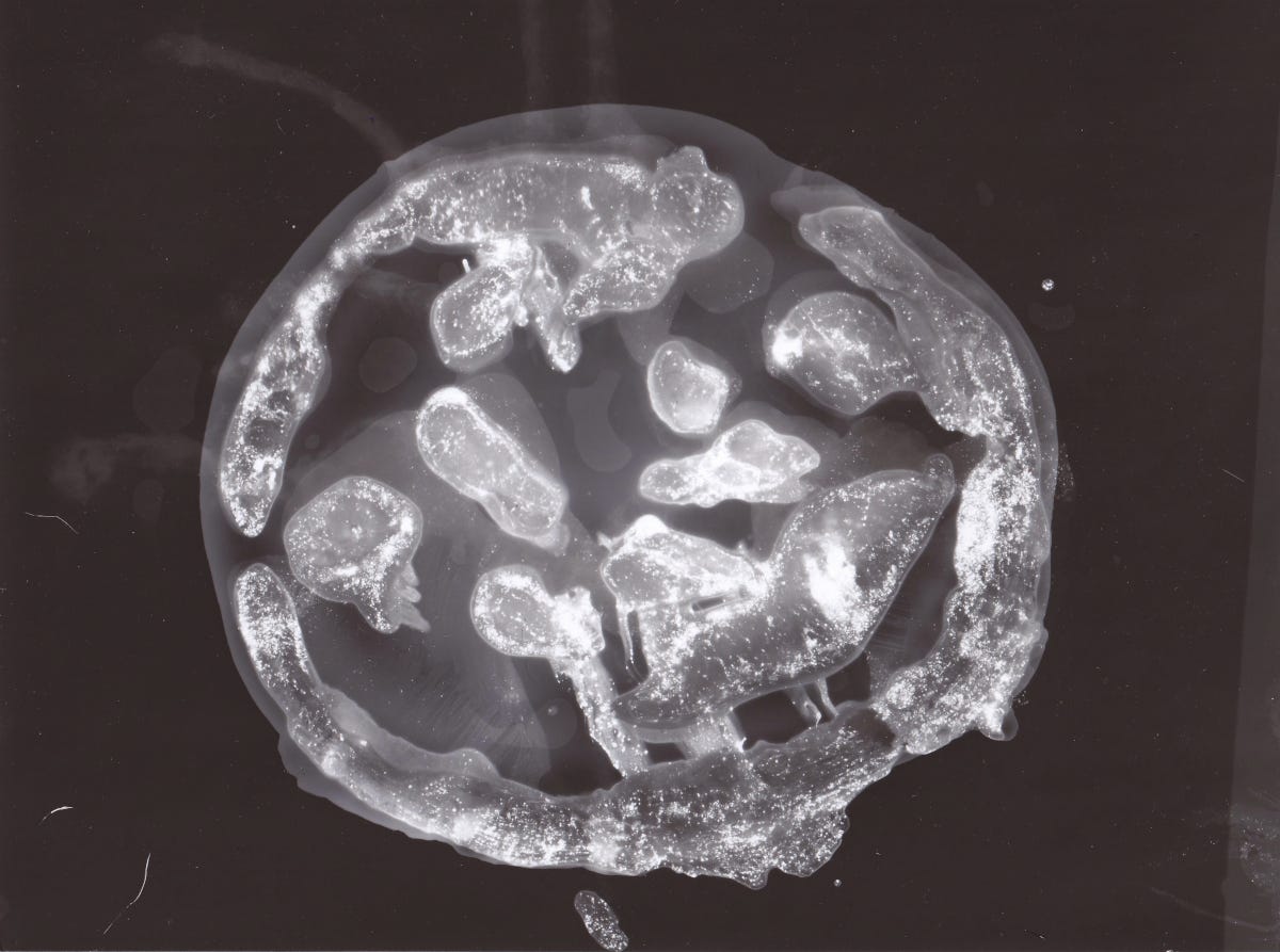 Camera Calibration Using Opencv This Article Provides A Step By Step… By Mihir Gandhi