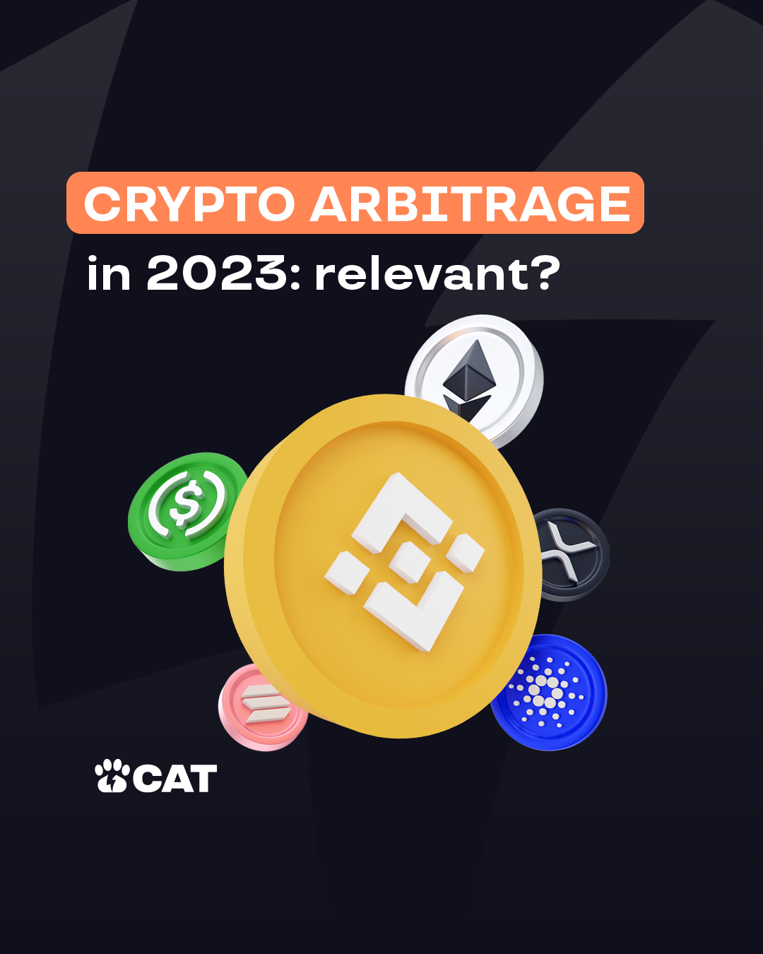 CAT Roadmap — what does the future hold? | by Crypto Arbitrage Team ...