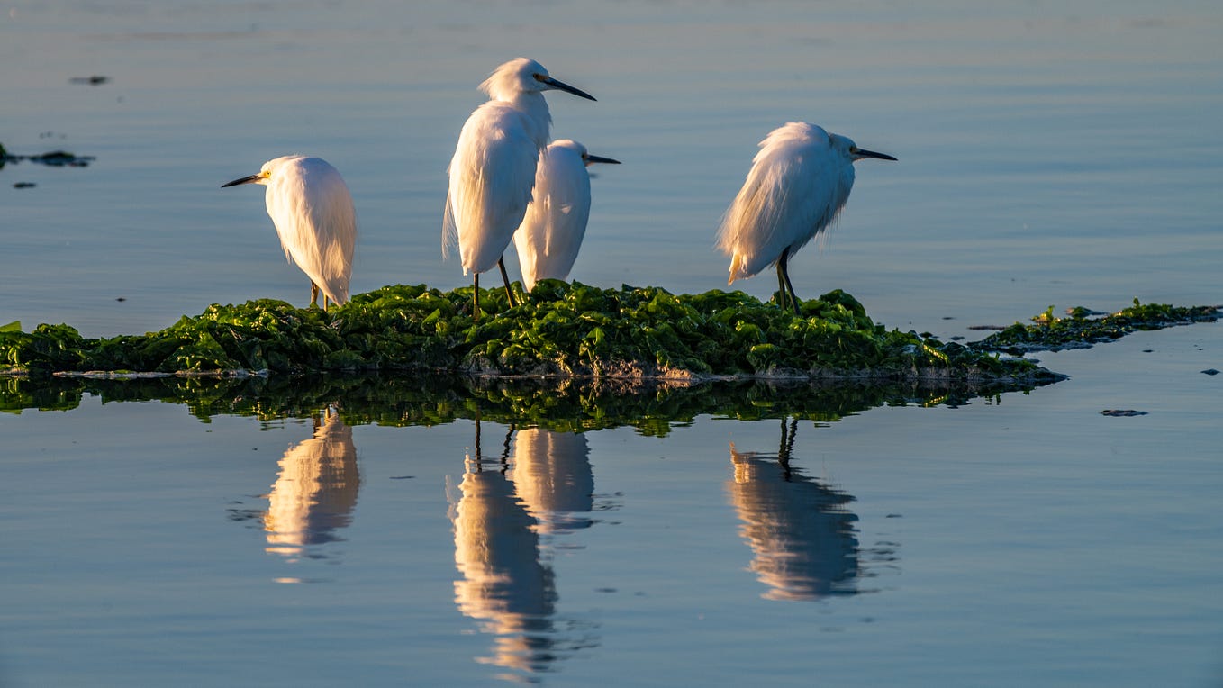 Use Python And Bulk Insert To Quickly Load Data From Csv Files Into Sql Server Tables By Randy