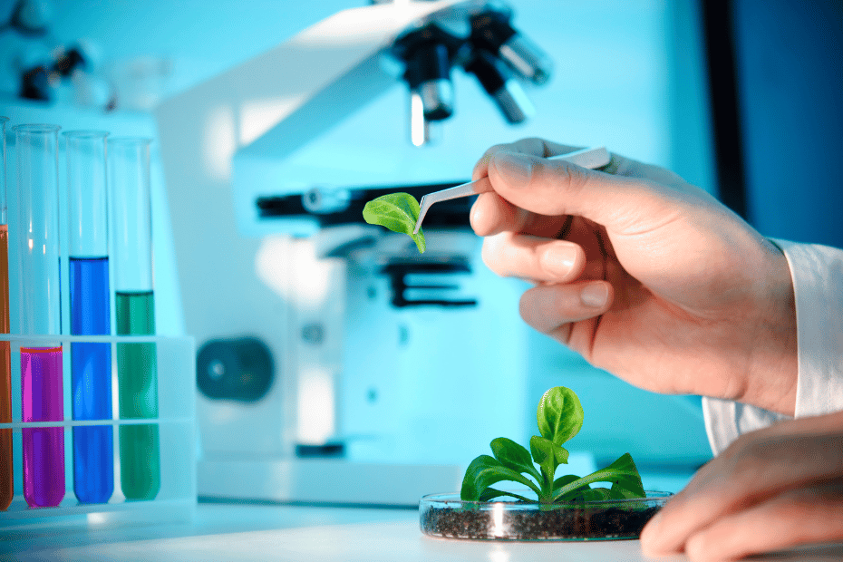 From Theory to Practice: The Importance of Real-World STEM Experience ...