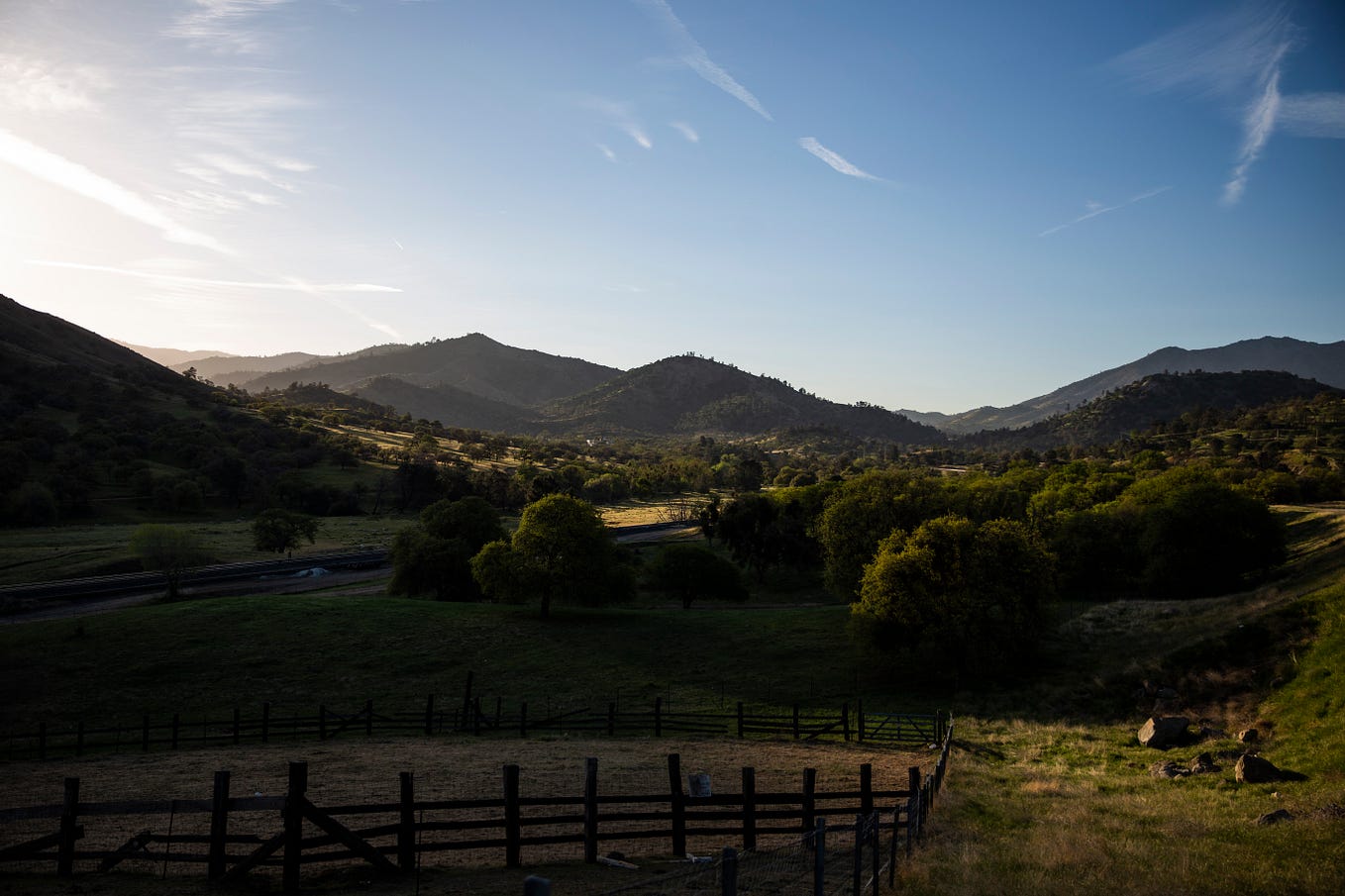 The forested coastal wetlands of Texas’ Columbia Bottomlands | by ...