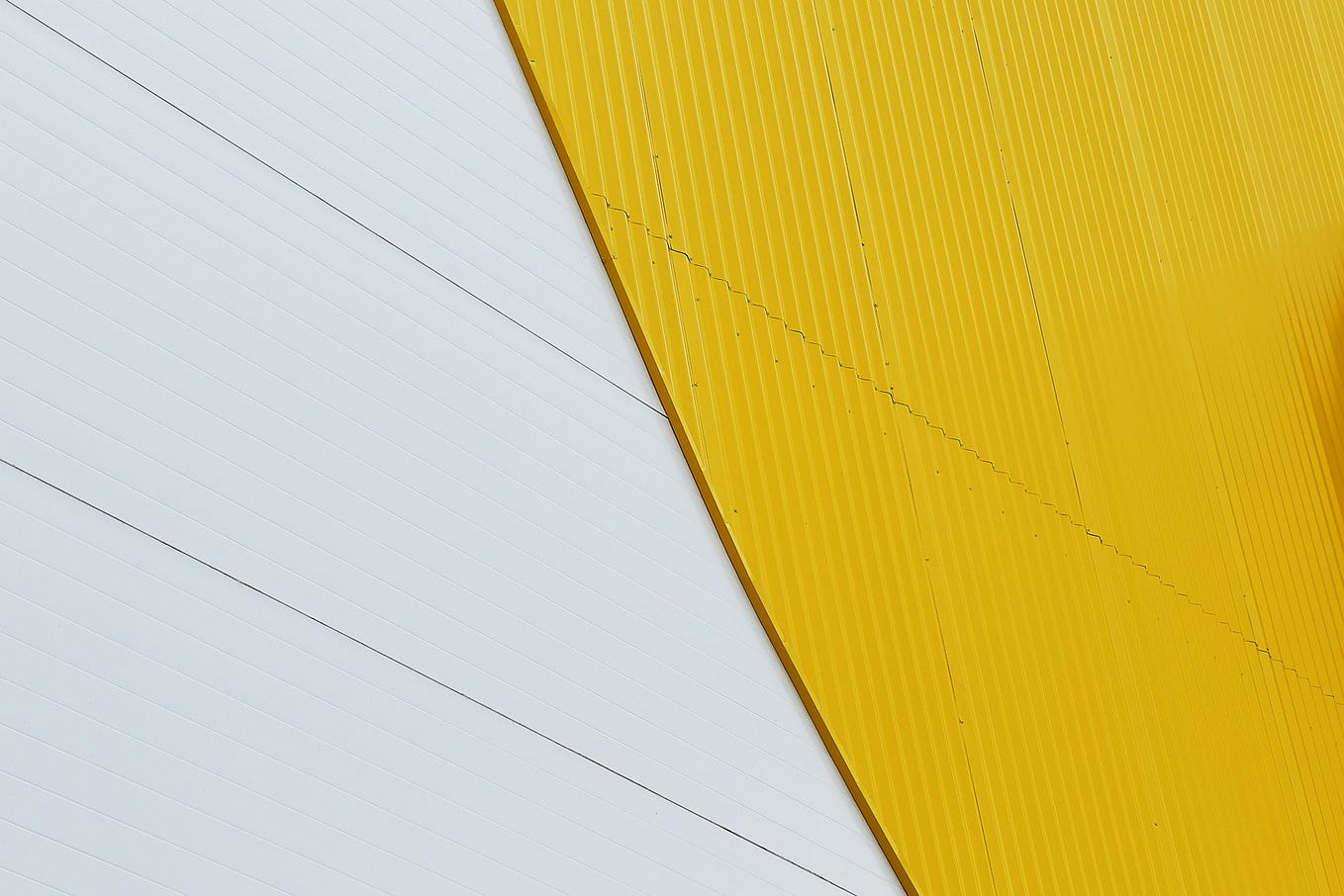 A Conversation with Emma Regolini, Digital Artist | by Mia Nguyen | The ...