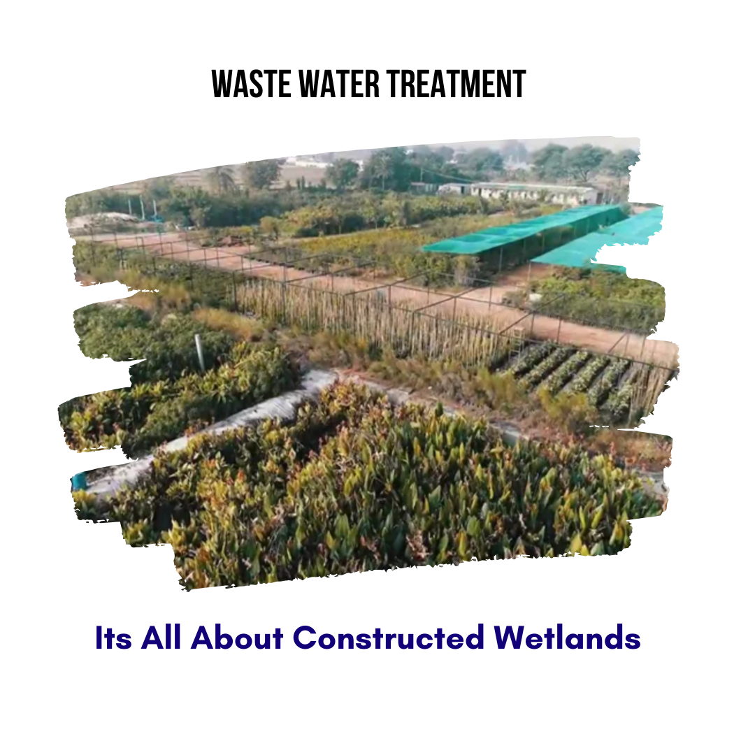 Exploring the Filtration Stages in Constructed Wetlands for Industrial ...