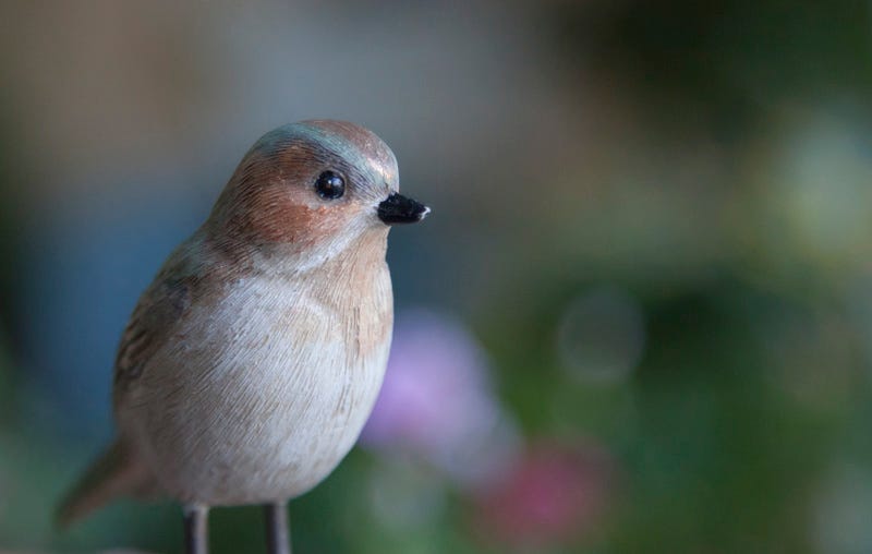 Not Ready for My Close-Up Due to Post-Its on My Neck | by Judith Hannah ...