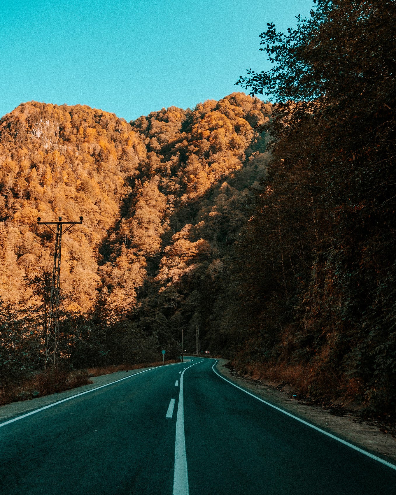 Sales Time Series Forecasting Using A Hybrid Prophet — Random Forest