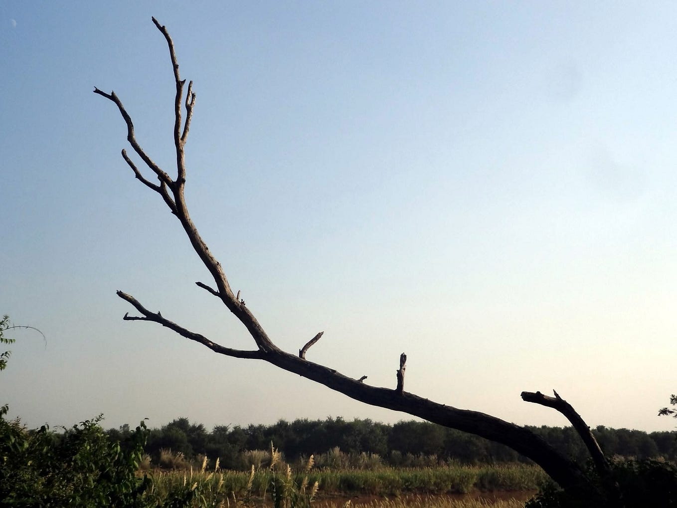 Mastering Inbox Organization with Outlook Categories | by Rob Chrin | Medium