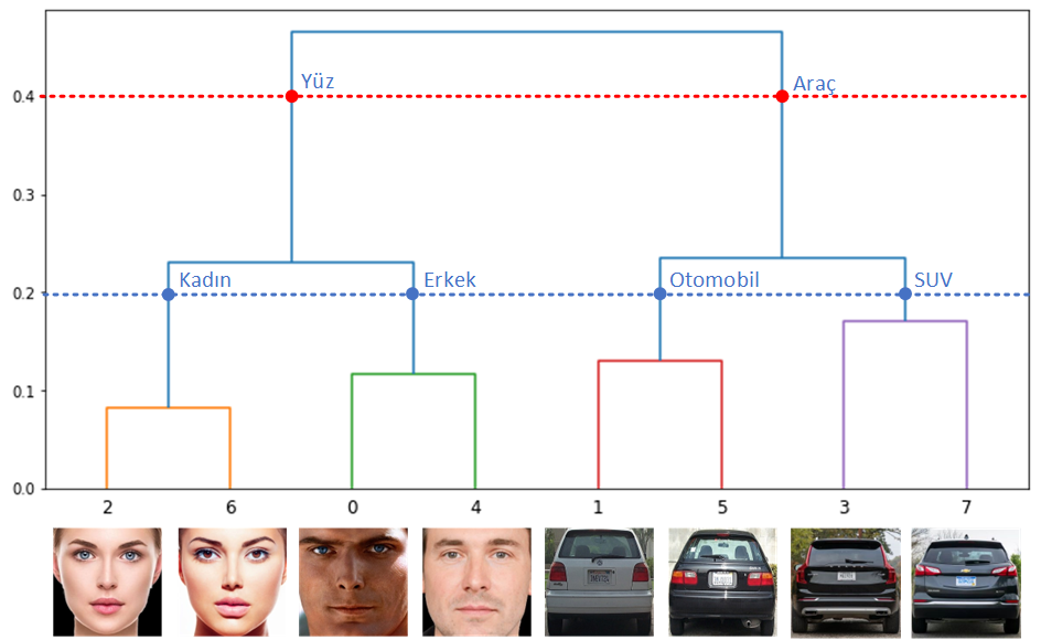 Hierarchical Clustering of Images with Python | by Dahi Nemutlu | Medium
