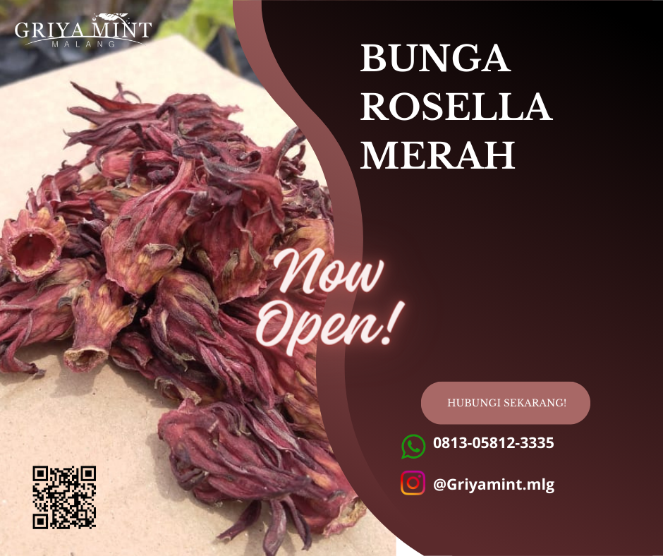 Rambut Indah!!, WA 0813–5812–3335, Jual Rosela Merah Kering Menyehatkan Rambut - Felisa indriana ...