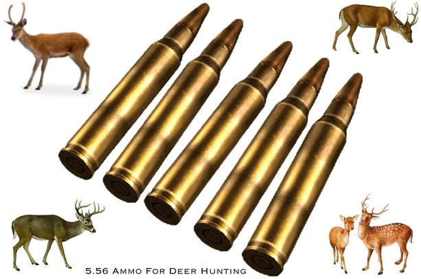 First Look: Norma Xtreme LR 22LR Ammunition | by Lisa Earnest | Medium