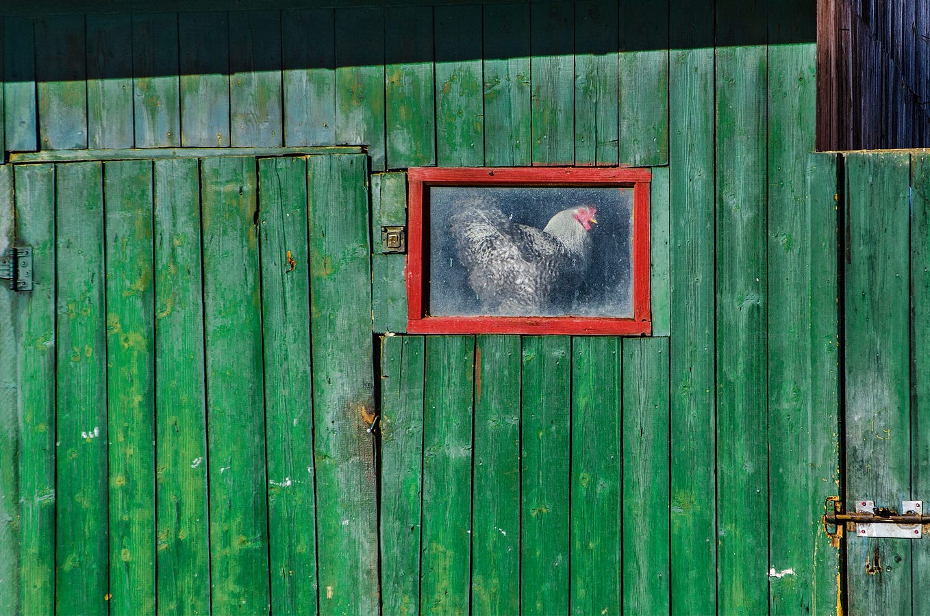 Learning about storytelling from IDEO | by Oana Filip | Medium