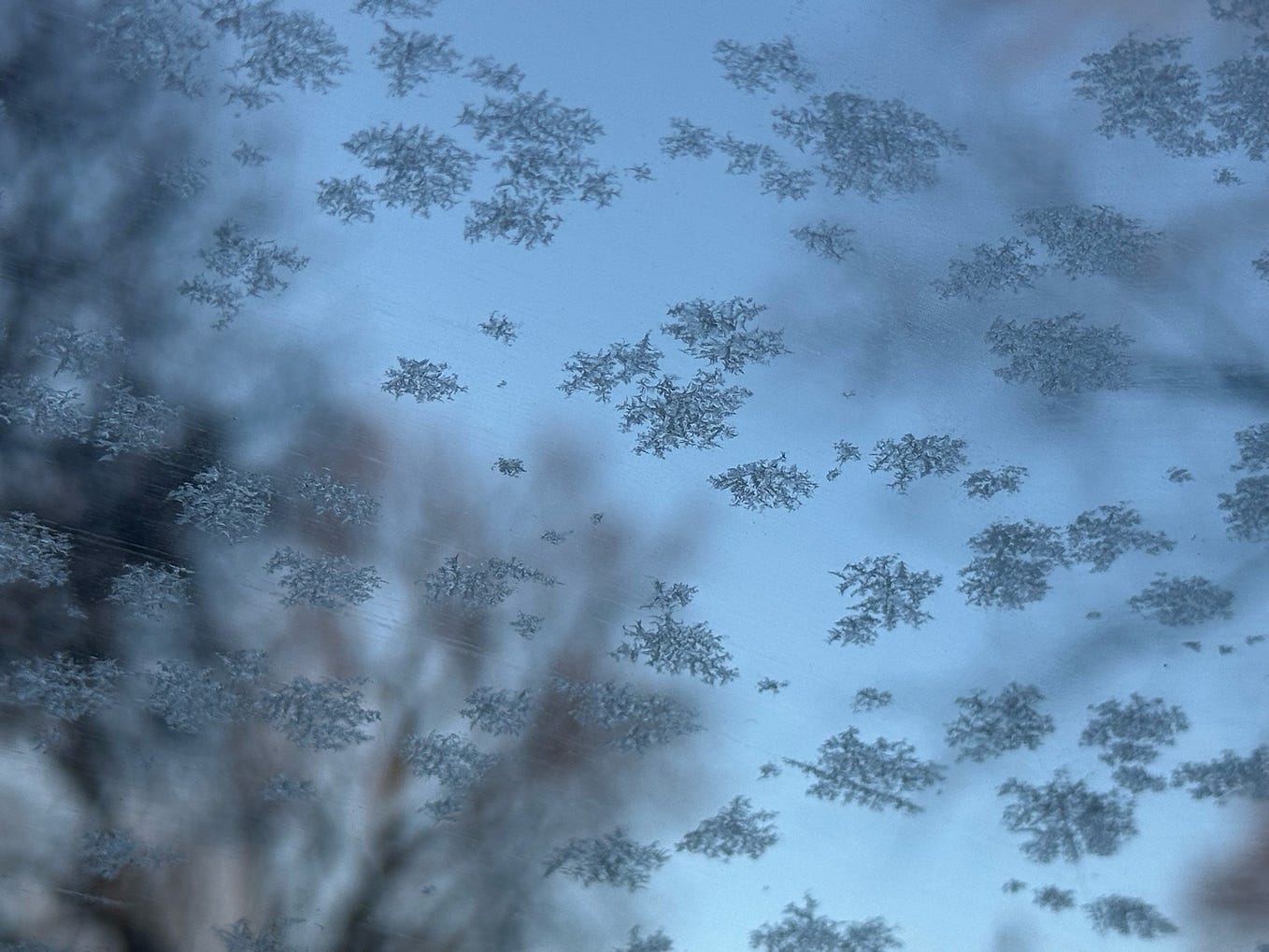 Dating In My 50s is Like Taking a Trip to The Island of Misfit Toys ...