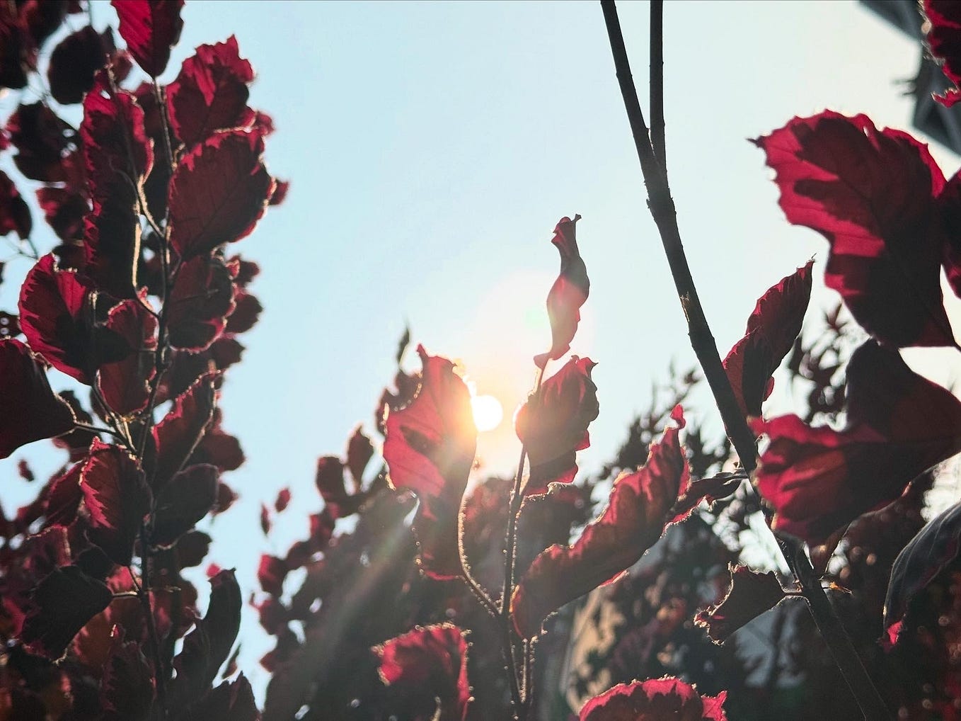 Integrating Databricks Apps Logs with Datadog Log HTTP Endpoints: Step-by-Step Guide | by Wenxin ...