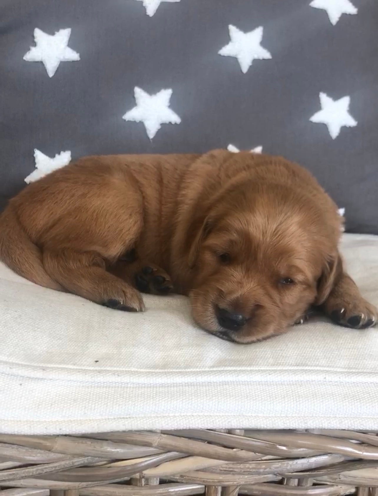 I’m still here. Hello friends! | by Susie Jacobson | Medium