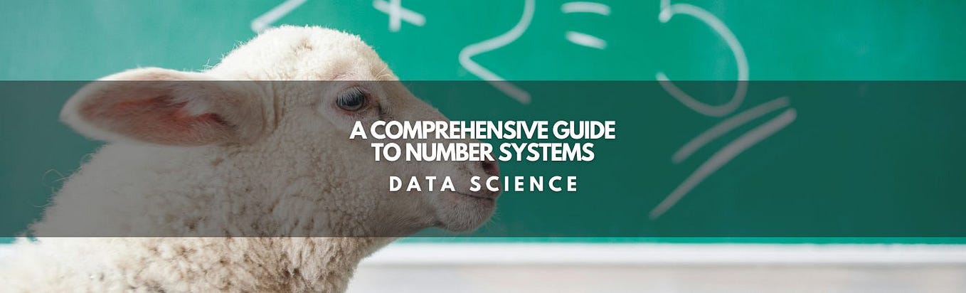 Quantization and Pruning. Part 1: Enhancing Model Efficiency with… | by Gawain Gan | Medium