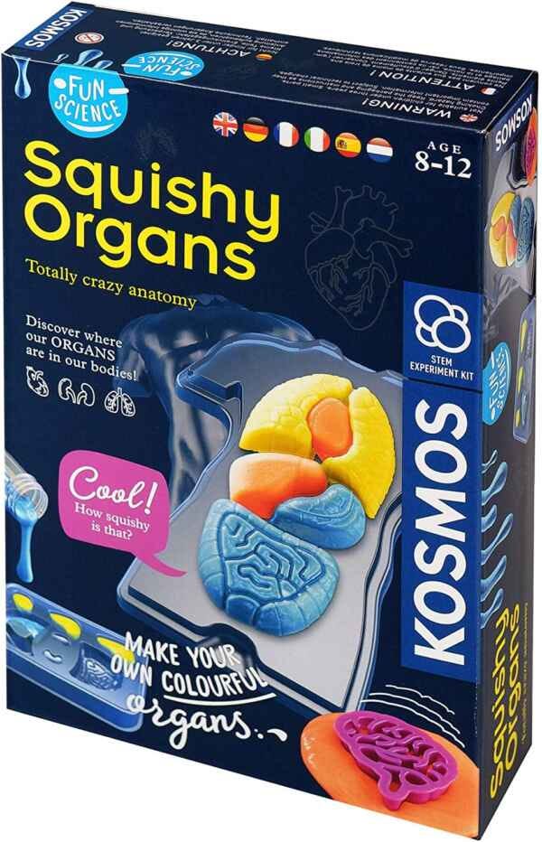 Squishy Human Body. SmartLab Toys — Squishy Human Body —… | by ...