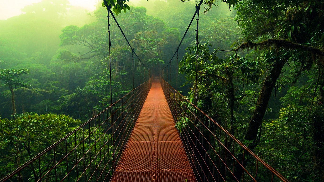 The definitive guide to setup my Python workspace | by Henrique Bastos ...