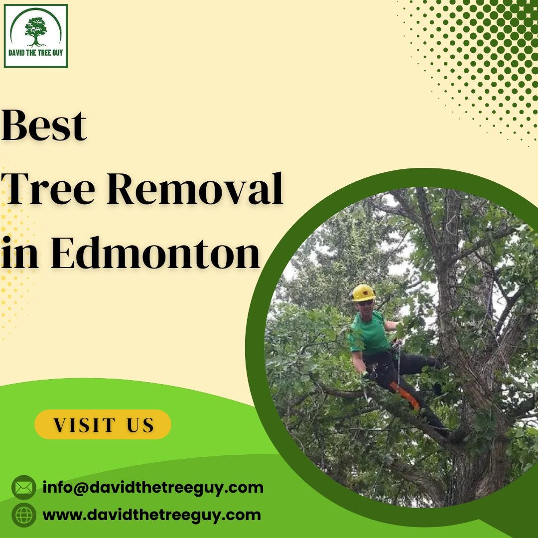 Best Tree Maintenance in Edmonton - David The Tree Guy - Medium