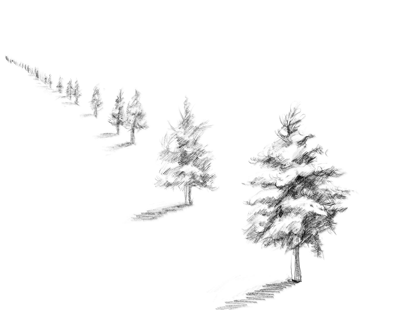 Bayesian Method 1 The Prior Distribution By Xichu Zhang Towards Data Science