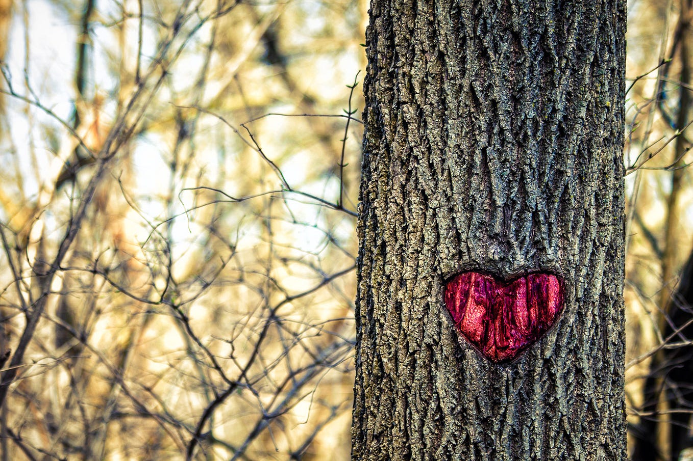 Thank you! Always happy to promote creativity! - Lauri Novak - Medium