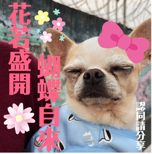 Hungarian Algorithm Introduction & Python Implementation | by Eason | Python in Plain English