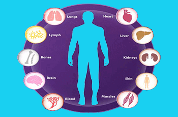 The Importance of a Healthy Lifestyle in Preventing Chronic Diseases ...