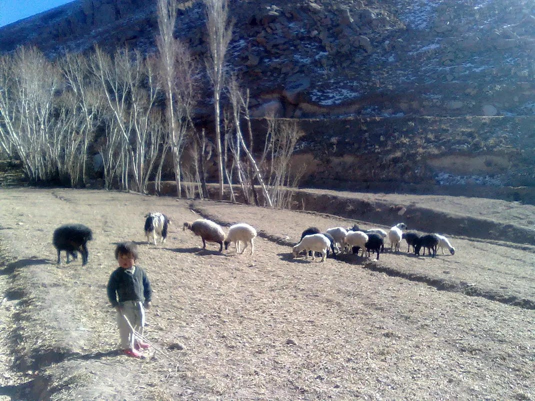 Traditional Versus Modern Methods of Cooking | by Mohammad Yousaf Sakhi | Medium