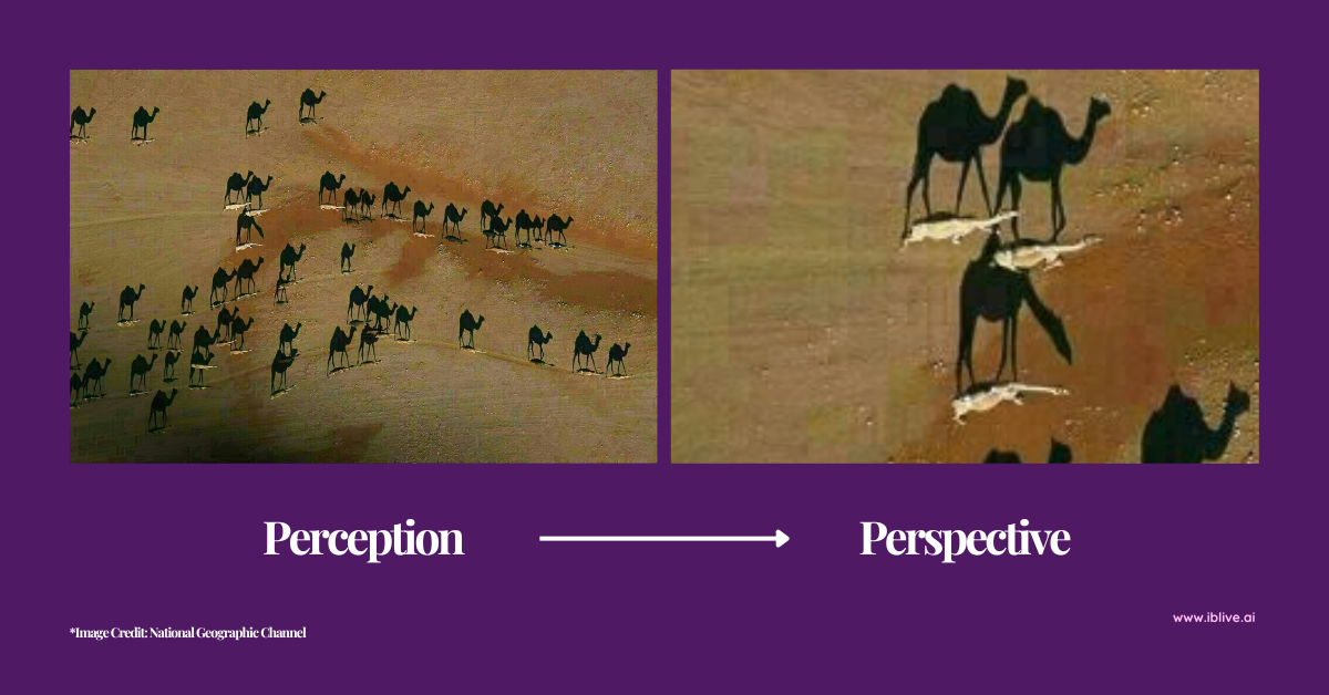 Are We Consciously Considering The Marketing First Principles? | by ...