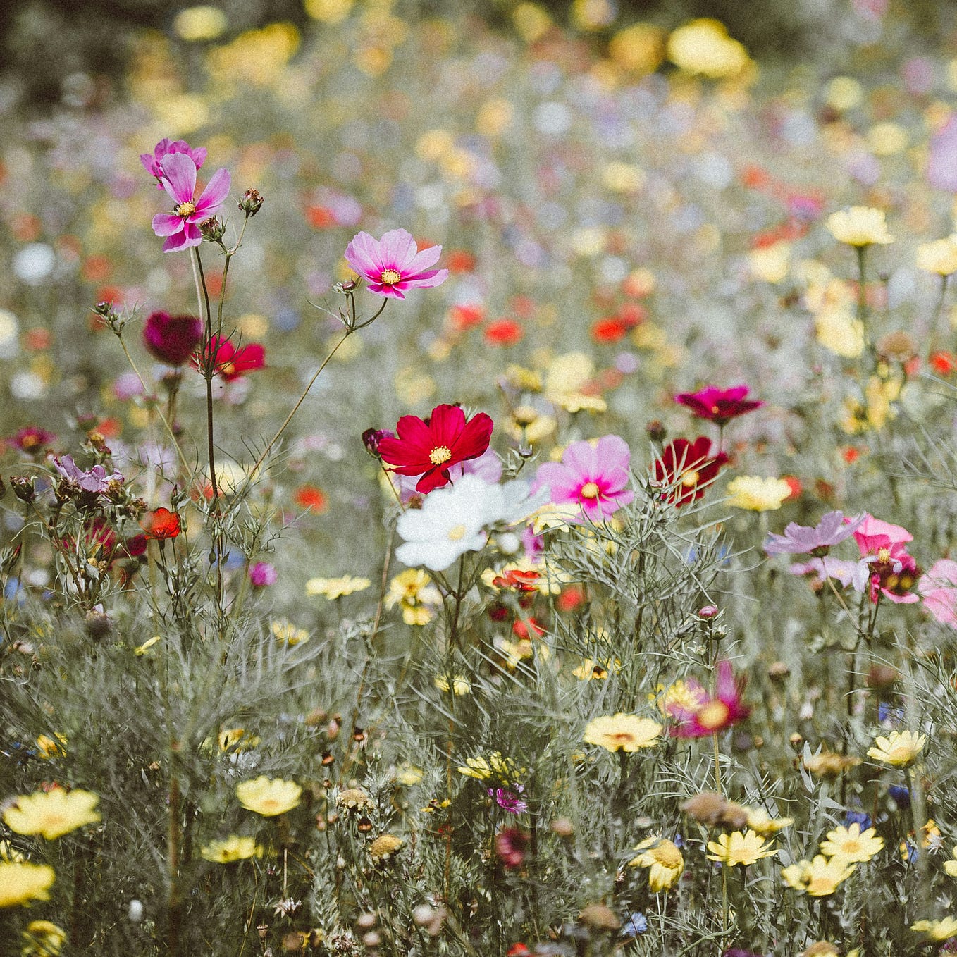 5 simple activities for exploring the power of mindsets | by Ash ...