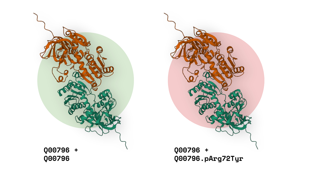 Visualizing protein-protein docking using PyMOL | by The Bioinformatics ...