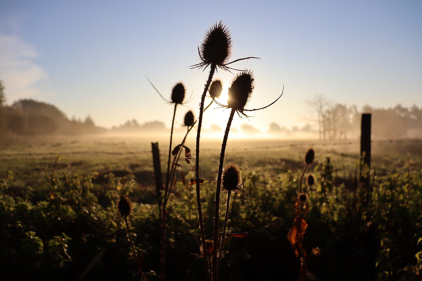 My journey into womb awakening. - Elemental Womb Shaman - Medium