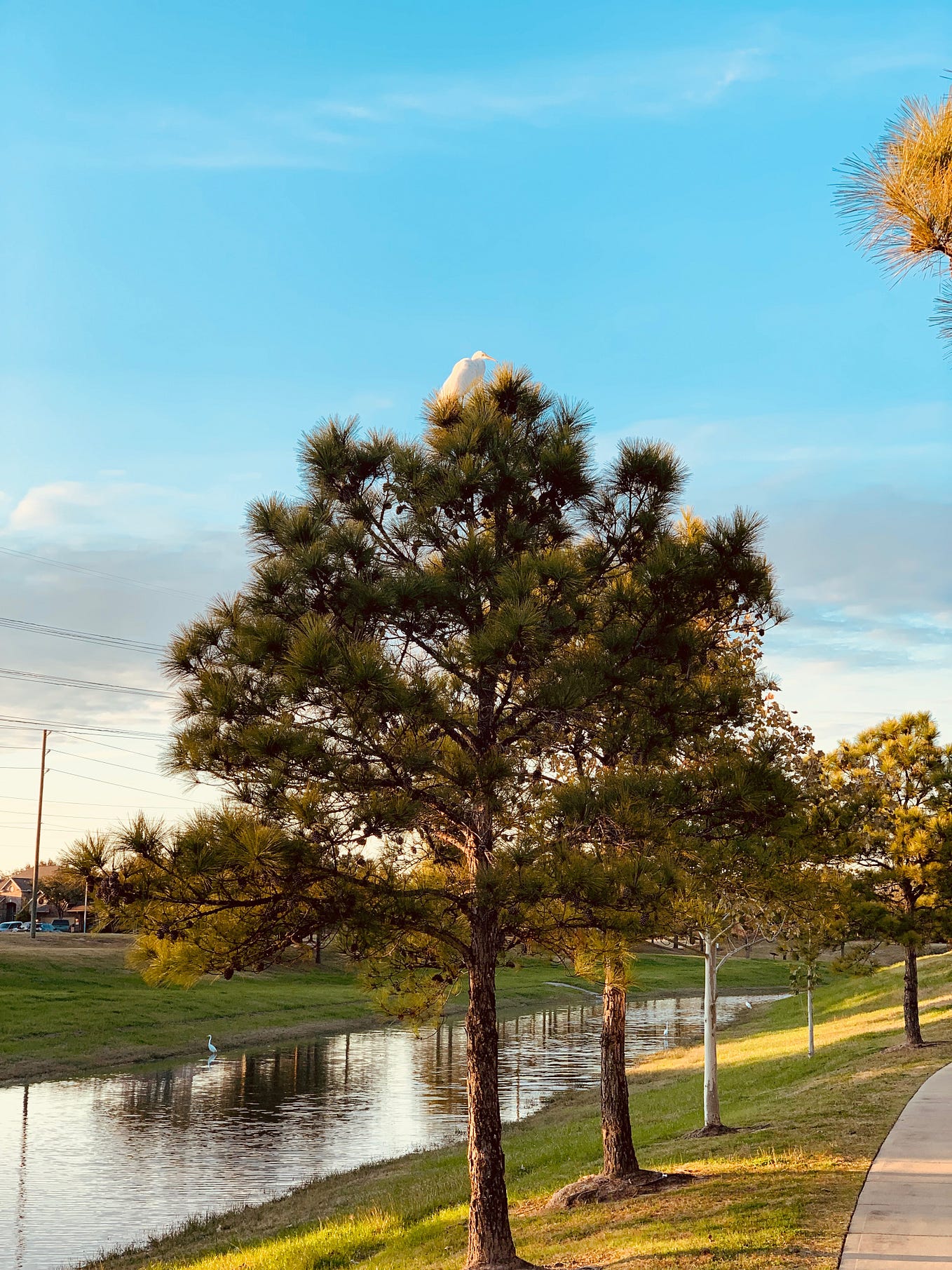 Sharing Coffee With My Friend Is Pure Love | by Dr. Preeti Singh | Six Word Photo Story ...