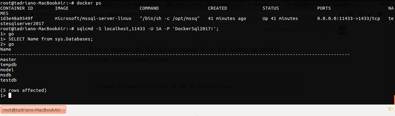 Docker: Trabalhando com network. Vejamos nesse artigo como podemos criar… | by Thiago S. Adriano ...