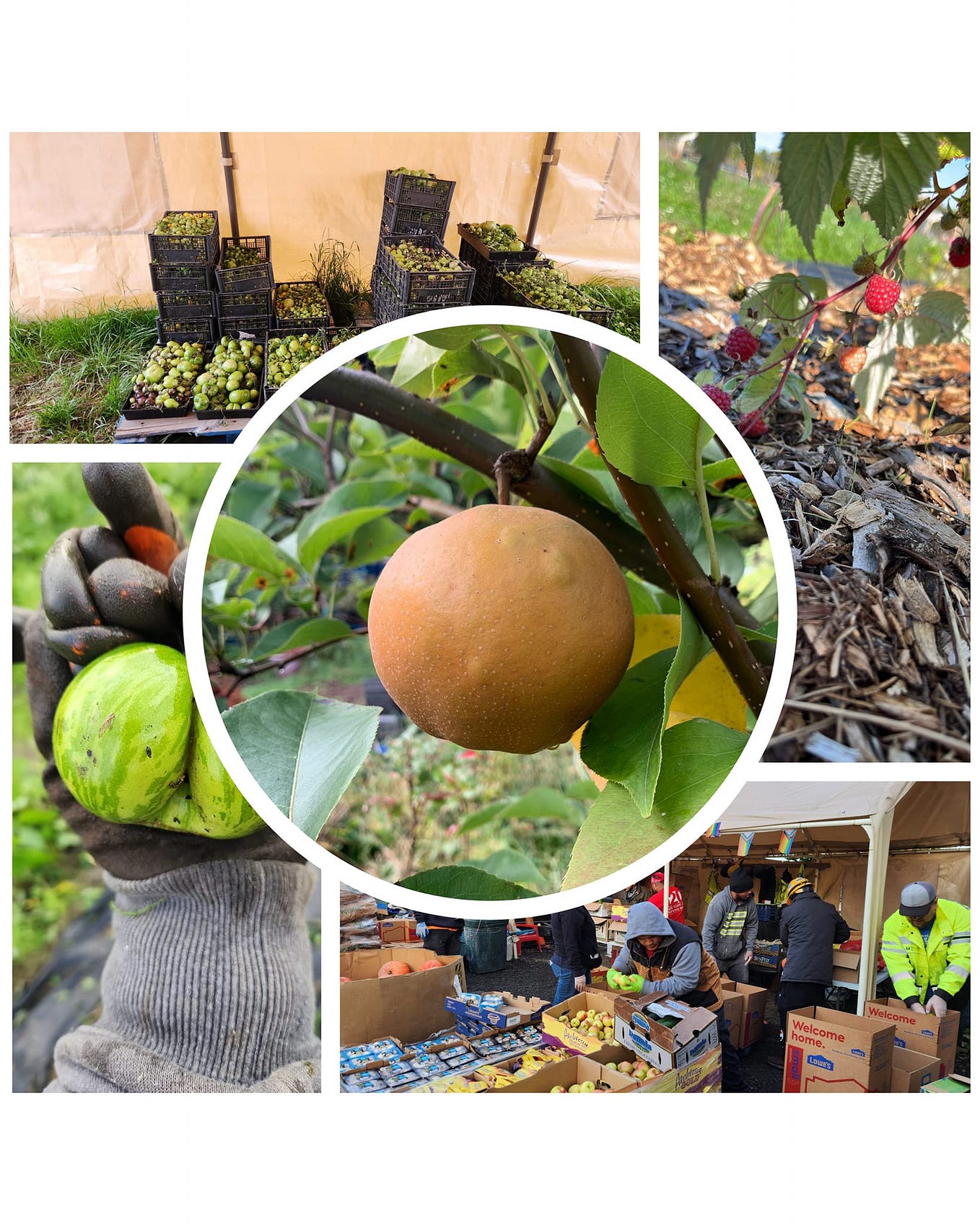 Food Sovereignty Advocacy Day. by Zsofia Pasztor, Founding Director ...