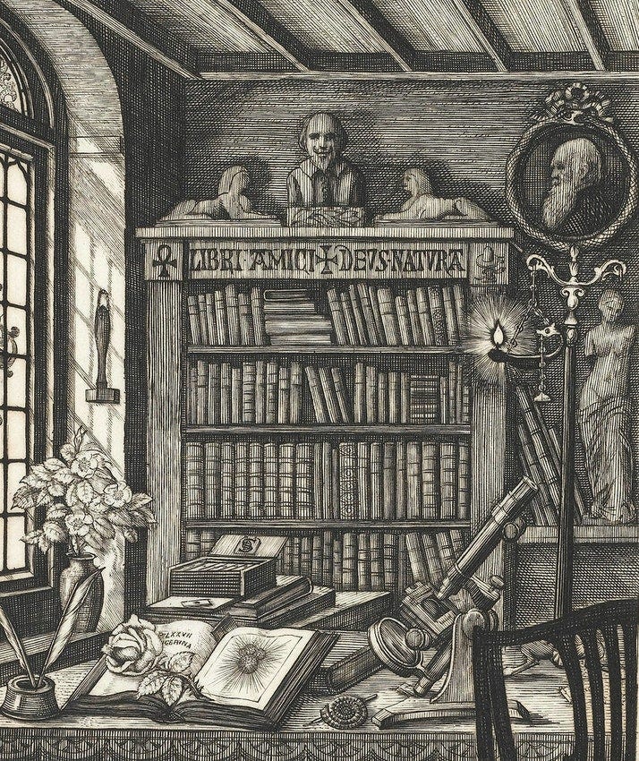 Maxwell’s Demon: A Tale of Two Entropies | by Kameron Sanzo, Ph.D. | Medium