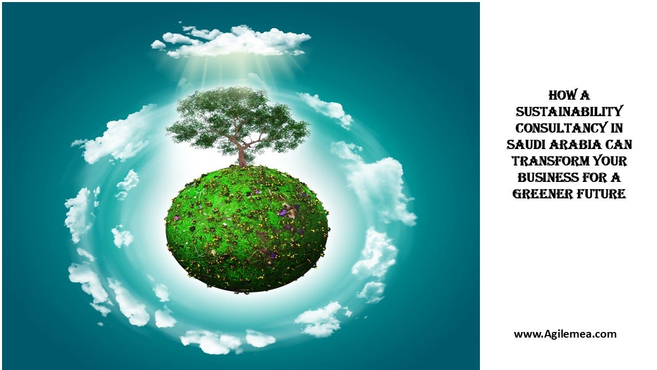 Sustainable Consulting in Saudi Arabia | by rohit kumar | Mar, 2025 | Medium