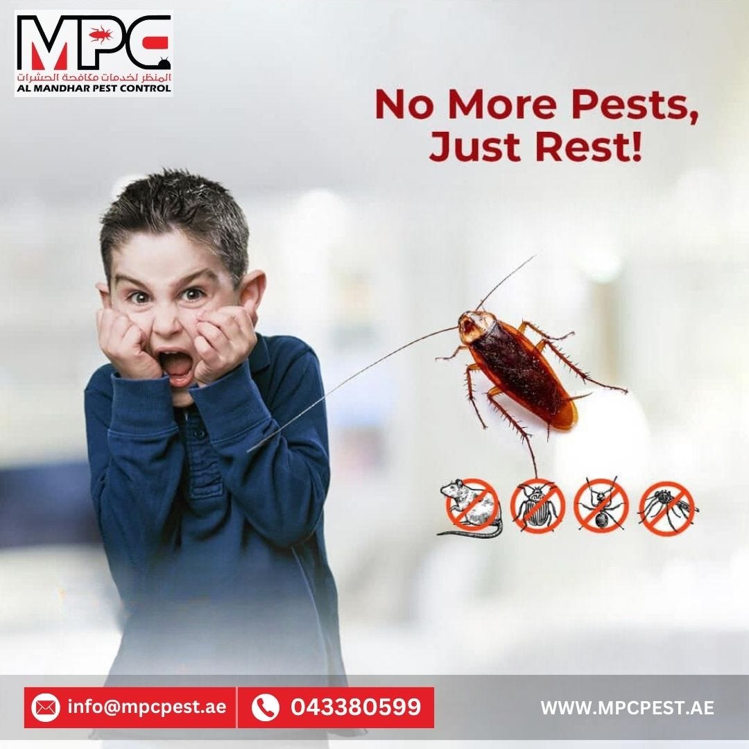 Taking Charge of Mosquito Control Ensuring Health and Comfort in Dubai ...