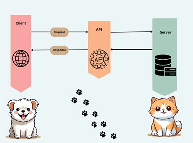 MongoDB. Introduction: DataBase Management… | by Godawelaus | Medium