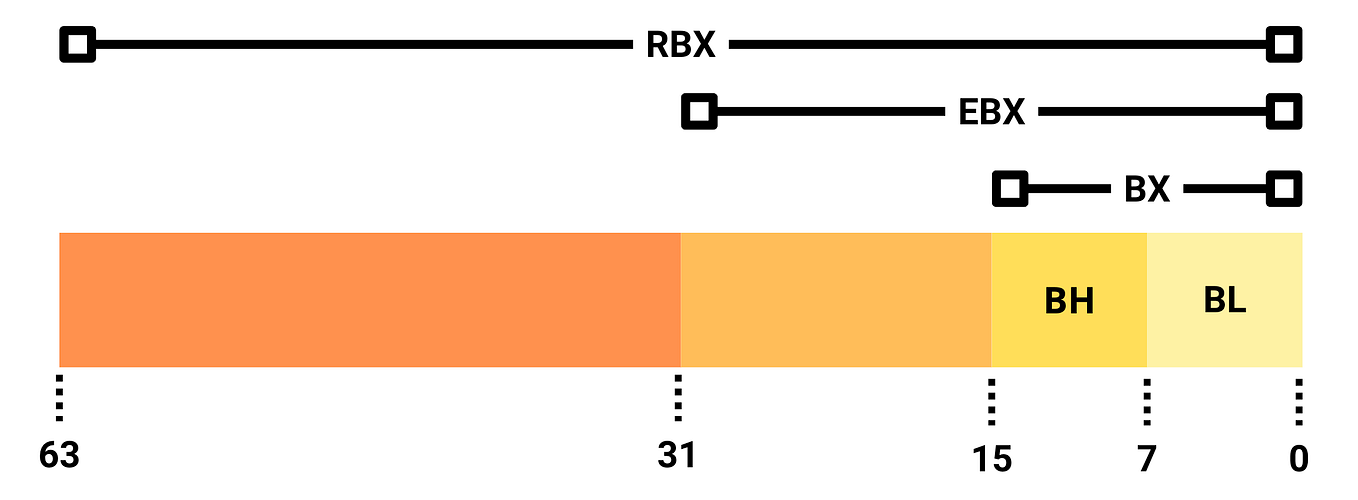 The Accumulator register in x86–64 assembly: understanding RAX, EAX, AX, AH, and AL | by Pierre ...