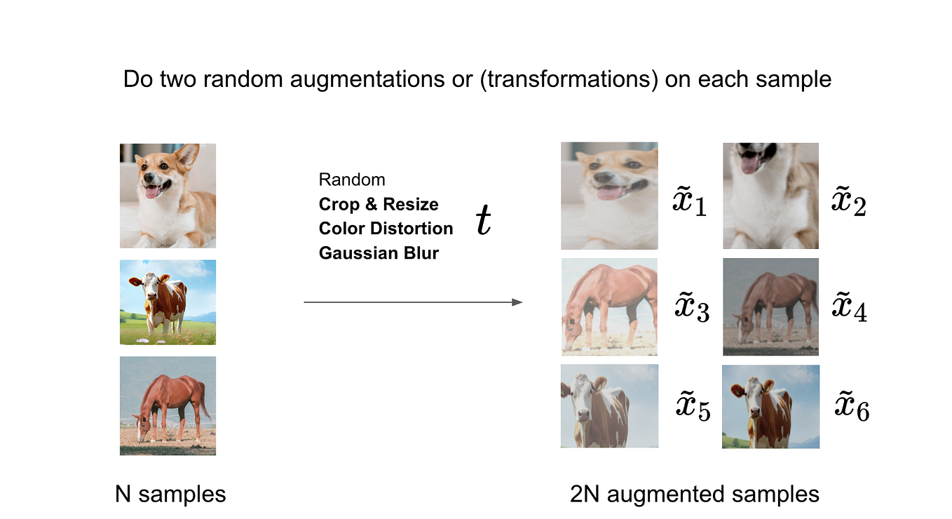 Understanding CLIP for vision language models | by Frederik vom Lehn ...