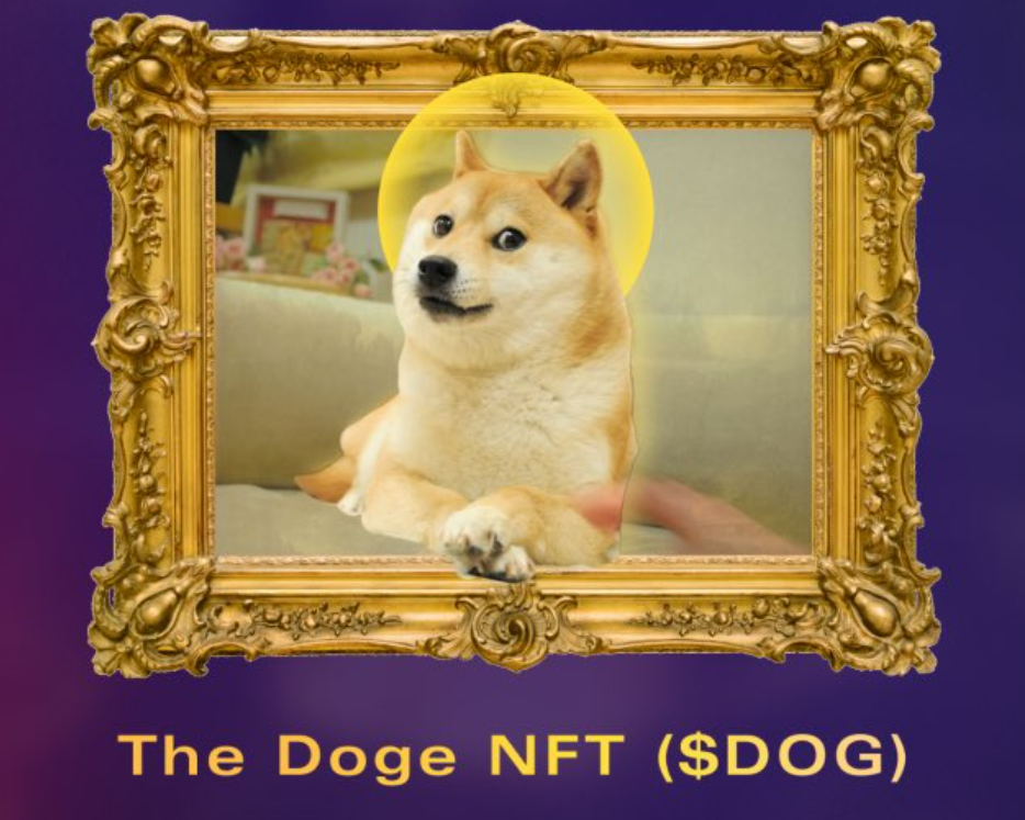 The Doge NFT — Become a part of “the Memeverse” with $DOG! | by Paco ...