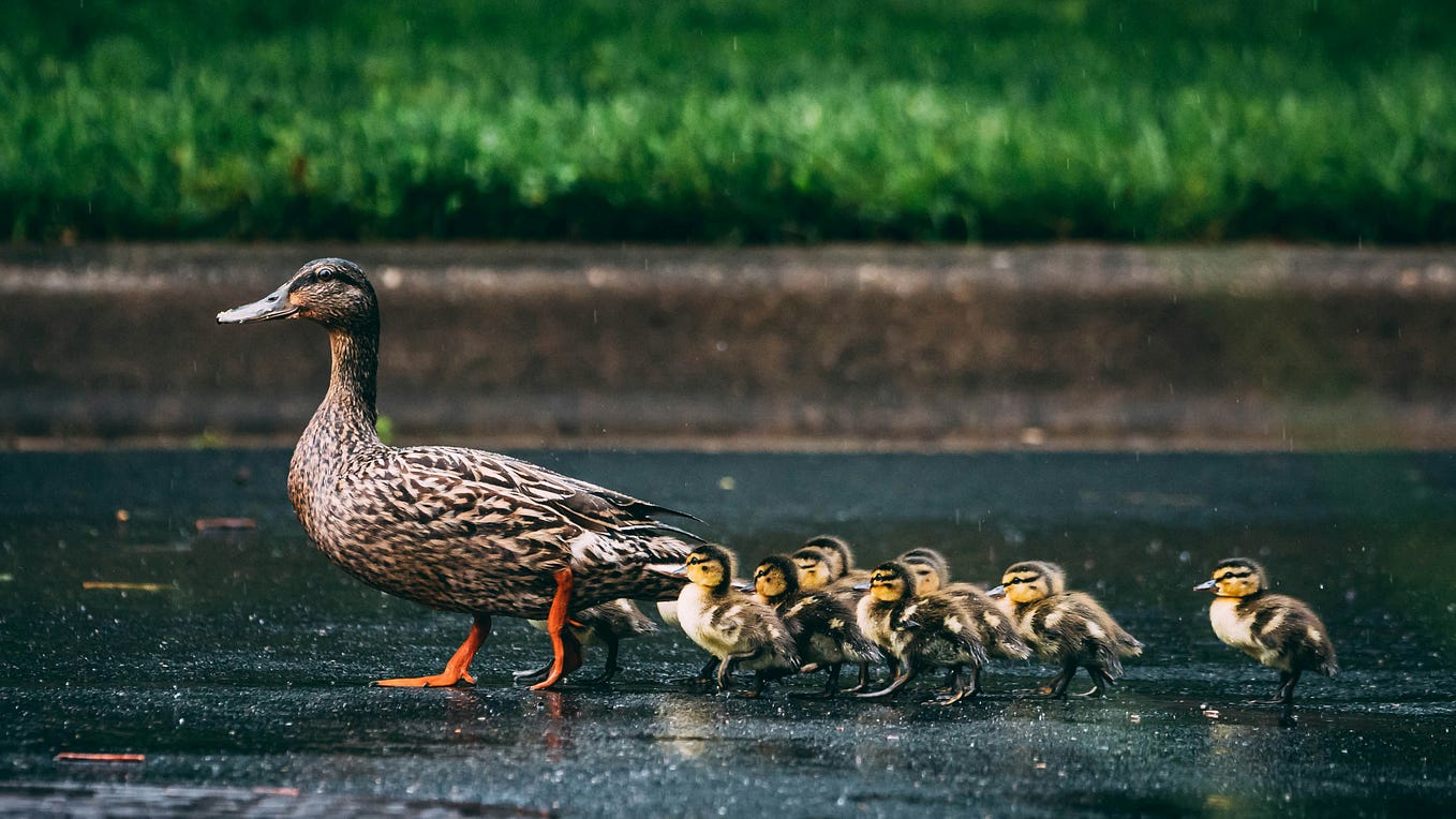 Building A Scalable Data Pipeline With Lookup Foreach And Conditional Logic In Azure Data
