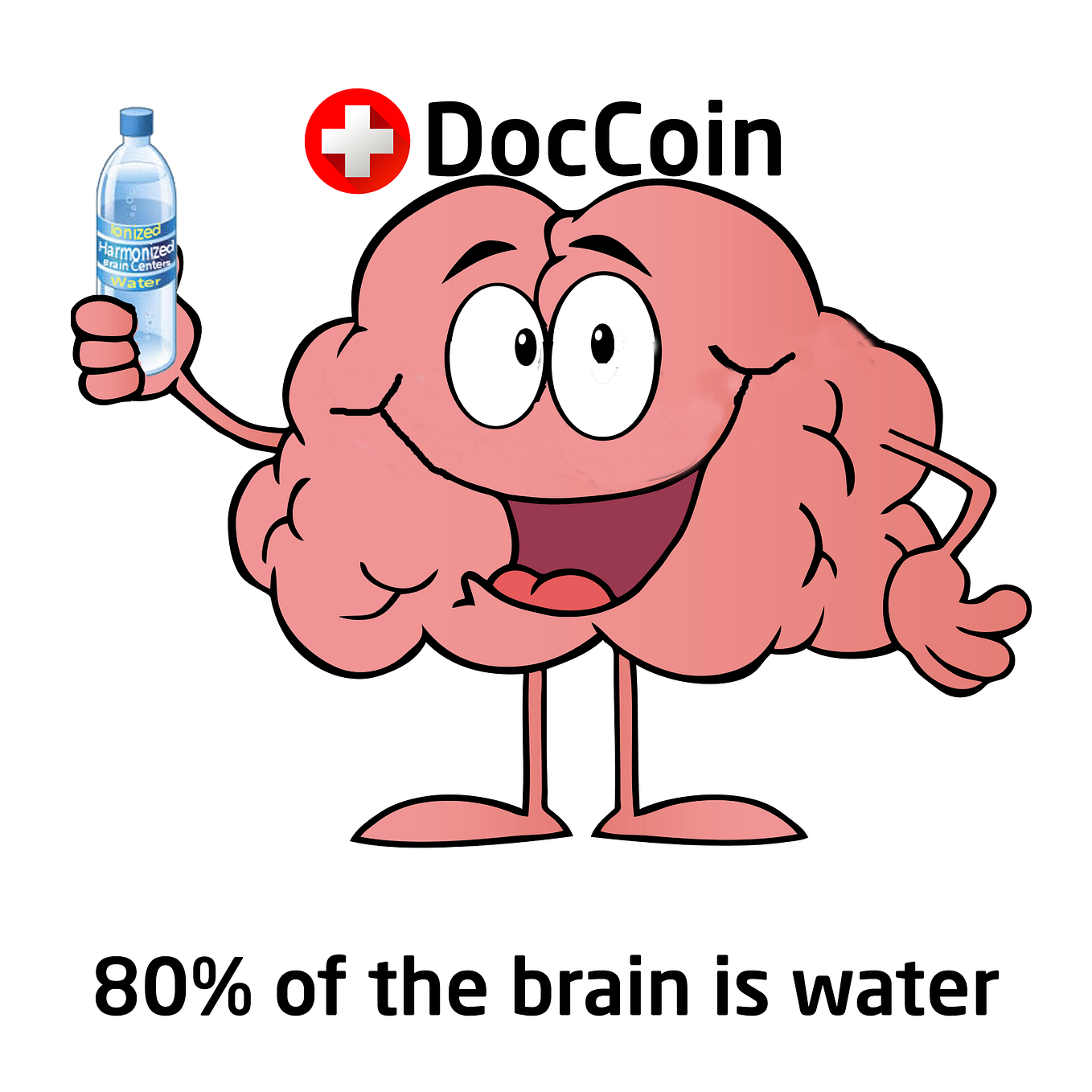 Report DocCoin. Quick Facts | by Doc Coin | Medium