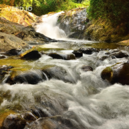 Envoy proxy Reverse Proxy Basic Example | by NAYAN PATEL | Medium