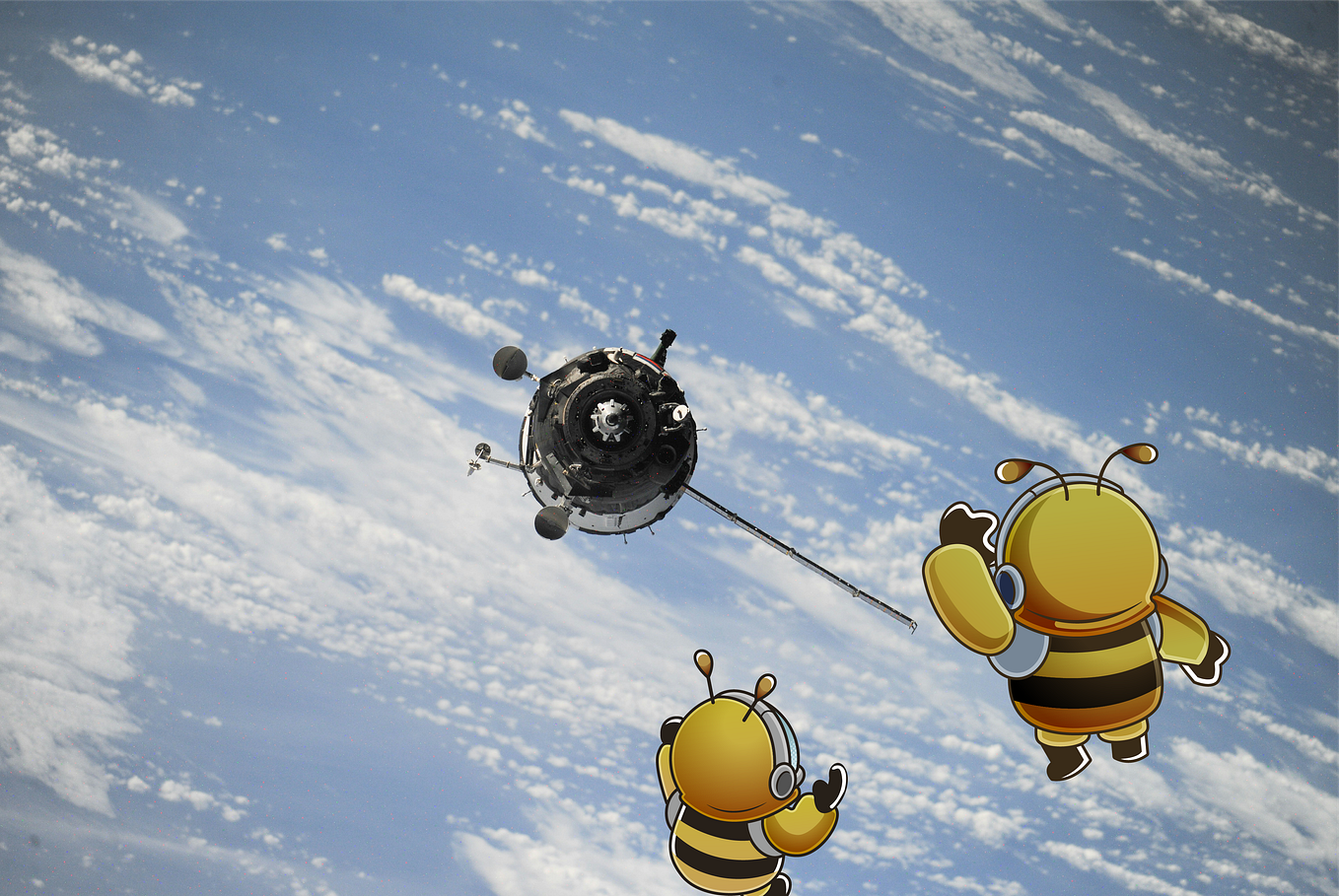 8 Popular SQL Databases for Data Analysts | Medium