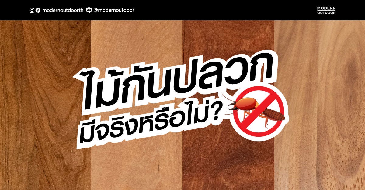 ผ้า Sunbrella ใช้ได้ทั้งในร่มและกลางแจ้ง - Poom.J - Medium