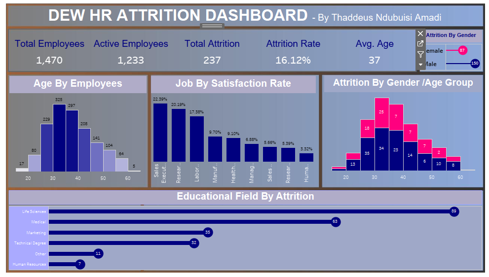 HR ANALYTICS DASHBOARD. Introduction: | by Thaddeus Ndubuisi Amadi | Medium